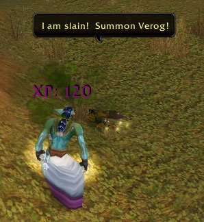 Guide to The Barrens (12-20)